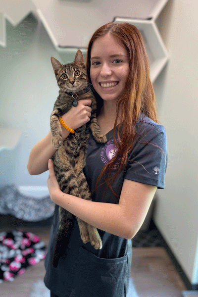 Ashlyn | Cat Care Center of Baton Rouge